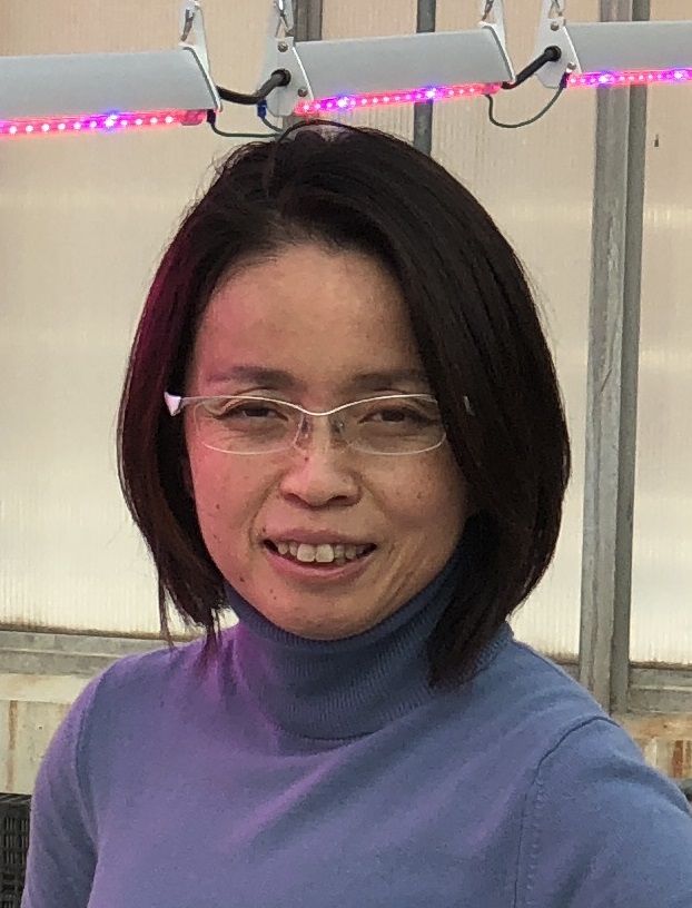 Grafting Experts - Vegetable GraftingVegetable Grafting